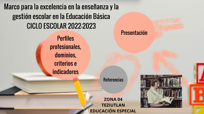 Perfiles profesionales, criterios e indicadores para el personal ...