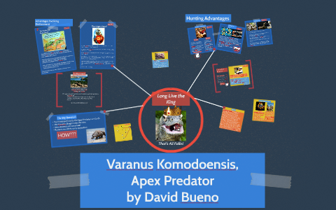 Komodo Dragon, Apex Predator by David Bueno on Prezi