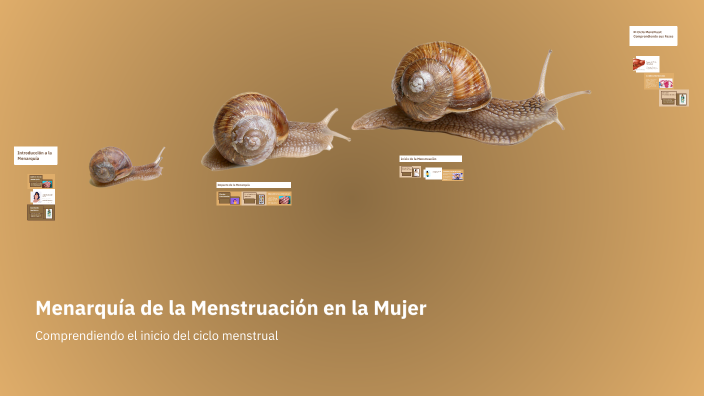 Menarquía de la Menstruación en la Mujer by Joan Antonio on Prezi
