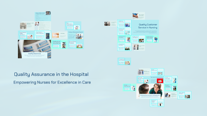 Quality Assurance in the Hospital by Sarah Valiente on Prezi
