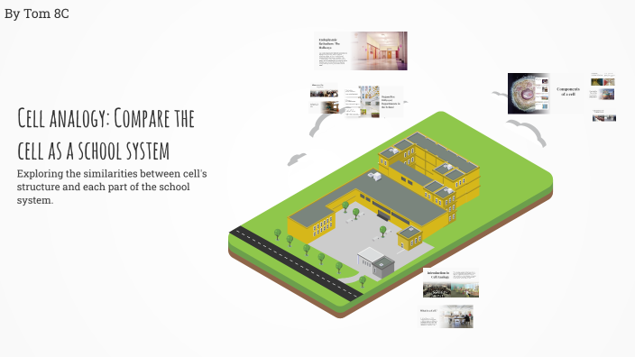 A cell is like a school - Tom 8C by Thomas Vuong on Prezi