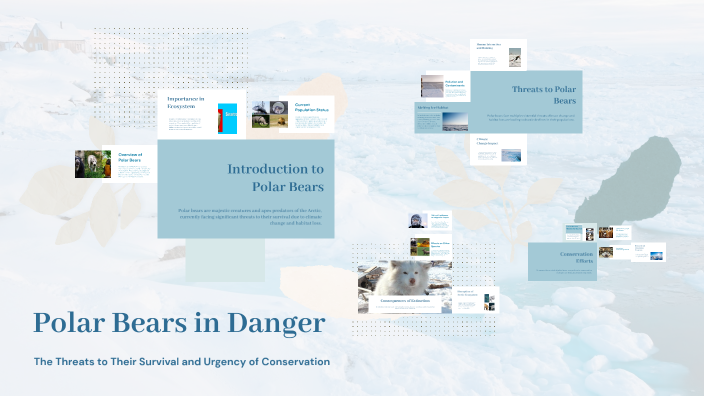 Polar Bears in Danger by Eleftheria Kalapotharakou on Prezi