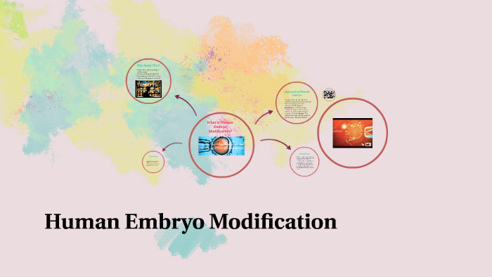 Human Embryo modification by Kalyah Houston on Prezi