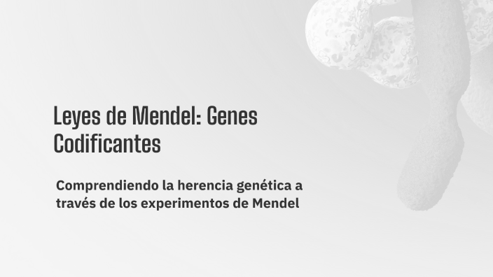 Leyes de Mendel: Genes Codificantes by Pablo Andres M on Prezi