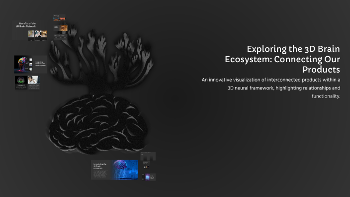 Exploring the 3D Brain Ecosystem: Connecting Our Products by Sam Dooley ...
