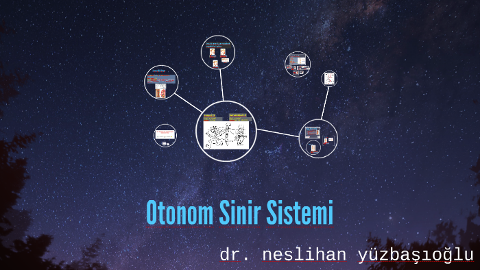 Otonom Sinir Sistemi-dr.nes by neslihan yüzbaşıoğlu on Prezi