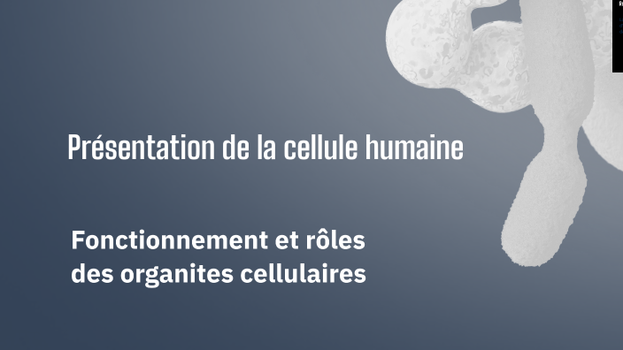 Présentation de la cellule humaine by Gérald DUMUGUET on Prezi