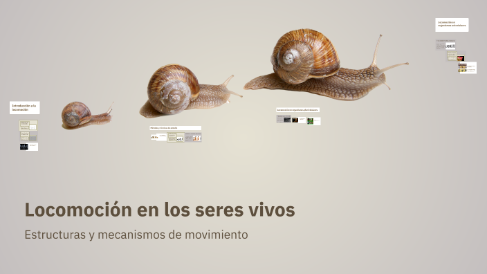 Locomoción en los seres vivos by Carlos Salazar on Prezi