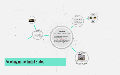 Poaching in the United States by Jake Plumley on Prezi