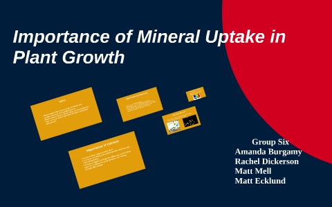 Importance of Mineral Uptake in Plant Growth by Amanda Burgamy on Prezi