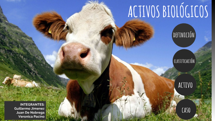 ACTIVOS BIOLOGICOS by veronica pacino on Prezi