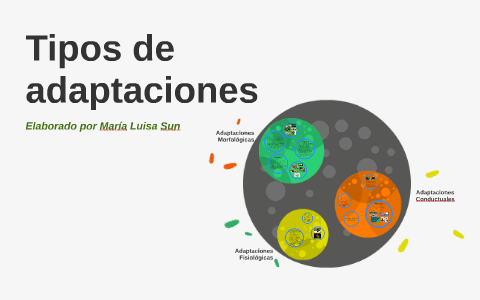 Tipos de adaptaciones by Luisa Aulcy on Prezi