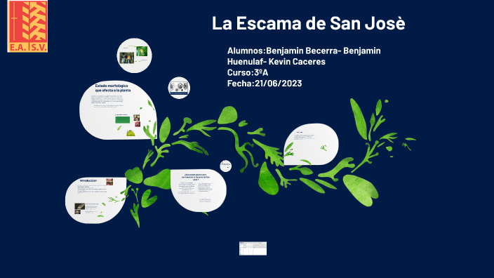 La Escama de San Jose by Benjamin huenulaf on Prezi