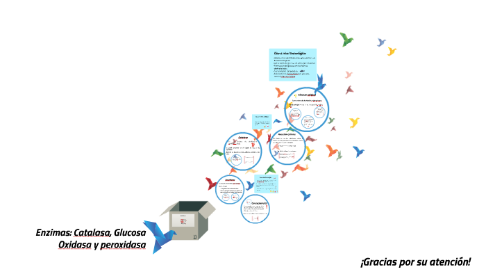 Enzimas: Catalasa, Glusoca Oxidasa y peroxidasa by gabriela gallardo on ...