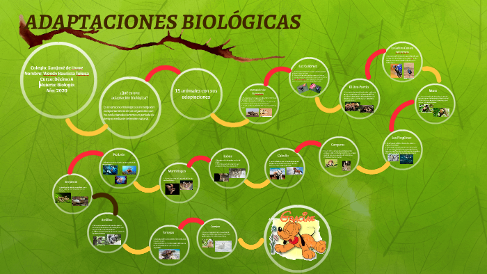 ADAPTACIONES BIOLÓGICAS by Heidy Bryan on Prezi