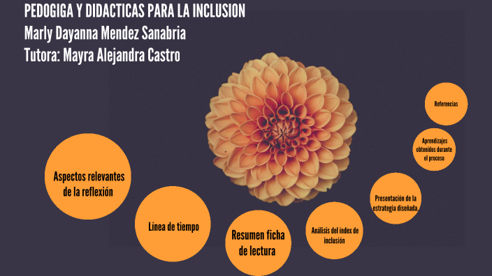 Socialización de la experiencia by MARLY DAYANNA MENDEZ on Prezi
