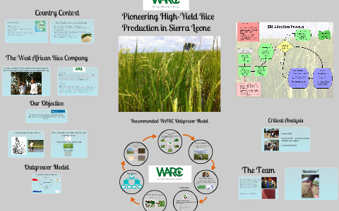 Final Outgrower Model by Erzen Sogut on Prezi
