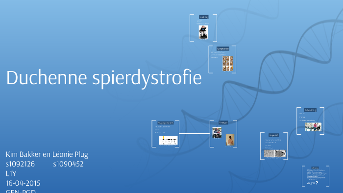 Duchenne spierdystrofie by L P on Prezi