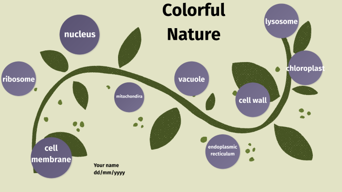 Cell Metaphor Project by Ember Froebrich on Prezi
