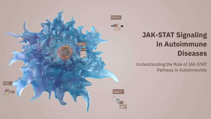 JAK-STAT Signaling in Autoimmune Diseases by deandre alexander on Prezi