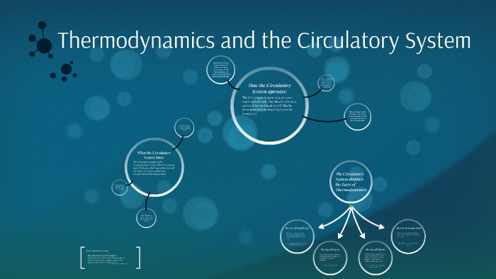 Thermodynamics and the Circulatory System by abi Dillon on Prezi