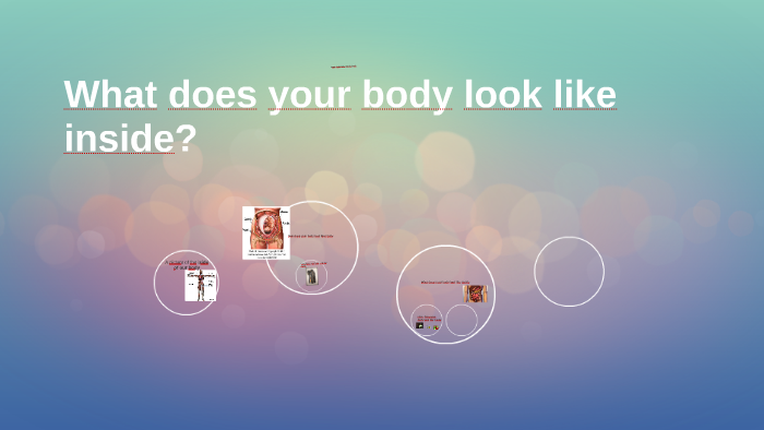 How does your body look like inside? by Seven Stones on Prezi