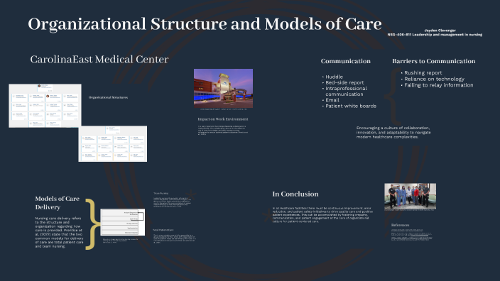 Organizational Structure and Models of Care by Jayden C. on Prezi