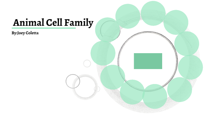 Animal Cell Photo Album by JOSEPH COLETTA on Prezi