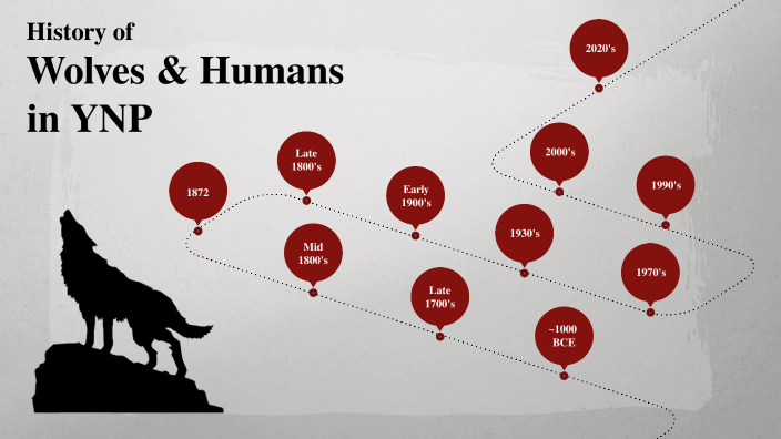 Yellowstone Wolves Timeline by Jennifer Goldberg on Prezi