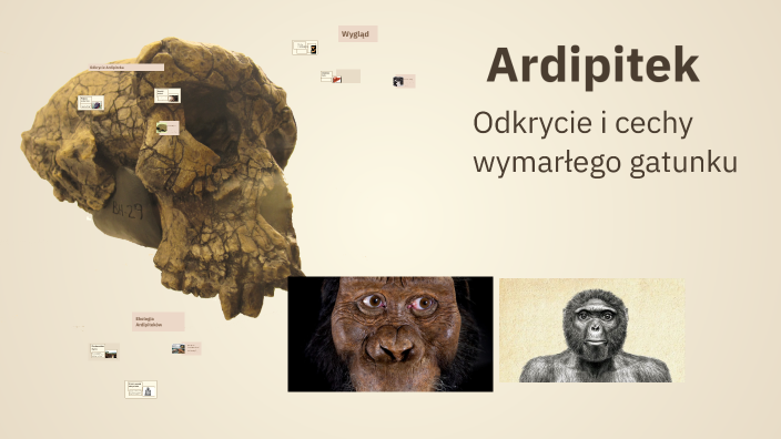 Ardipitek by Stanisław Umiastowski on Prezi