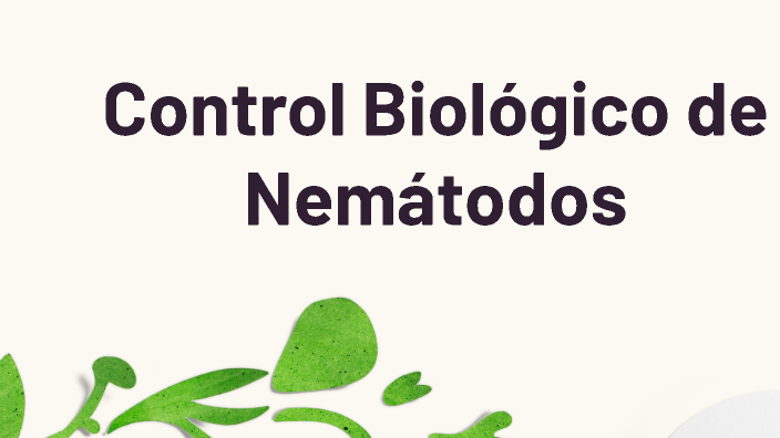 Control Biológico de Nemátodos by Rocio Duarte on Prezi
