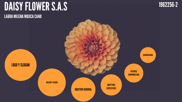 PROYECTO TECNICO DAISY FLOWER by LAURA MOJICA on Prezi