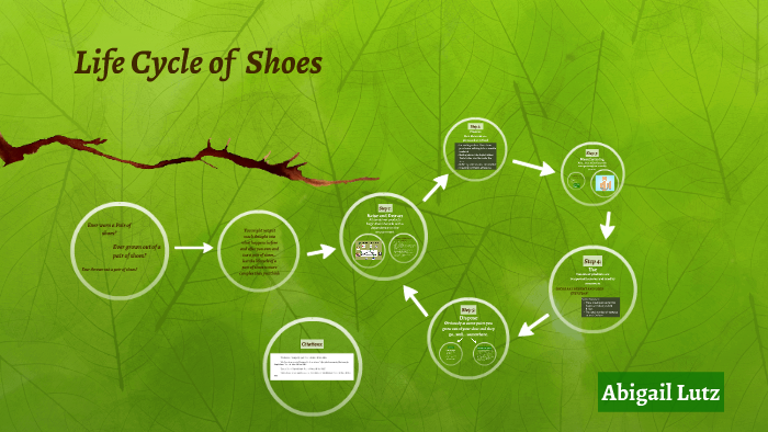 Life Cycle of Shoes by Abigail Lutz on Prezi