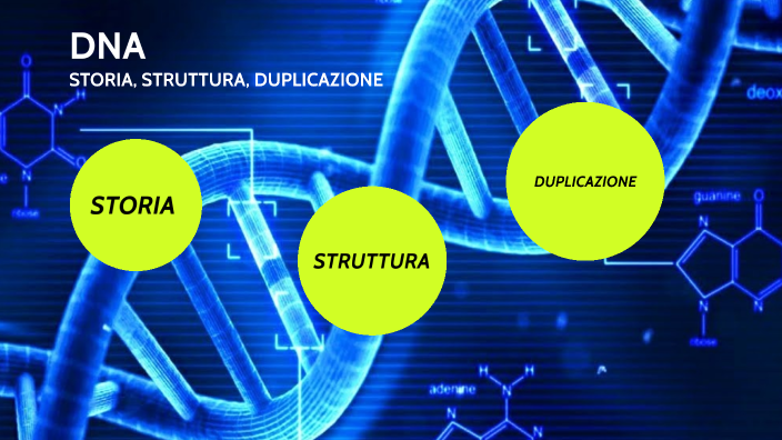 DNA by saul saul on Prezi