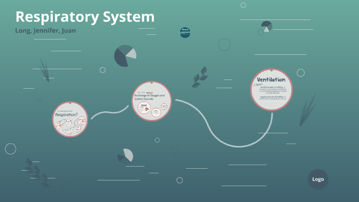 respiratory system flipped classroom by Jennifer Huynh on Prezi