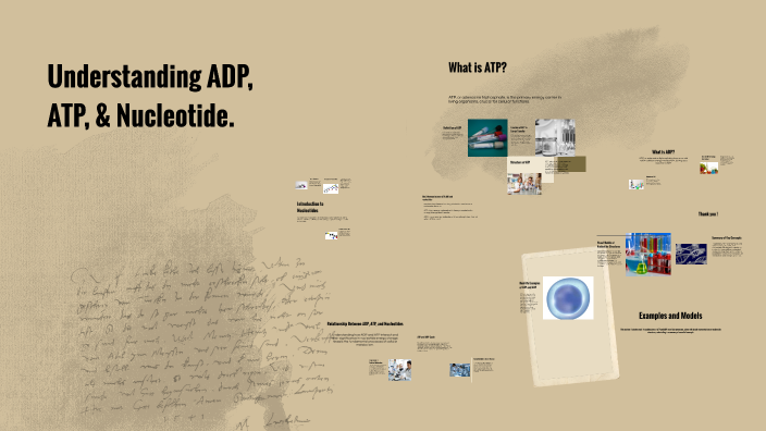 Understanding ADP, ATP, and Nucleotides by luji Mansuroglu on Prezi