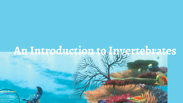 AP Bio Final Project: Invertebrates by K Deezy on Prezi