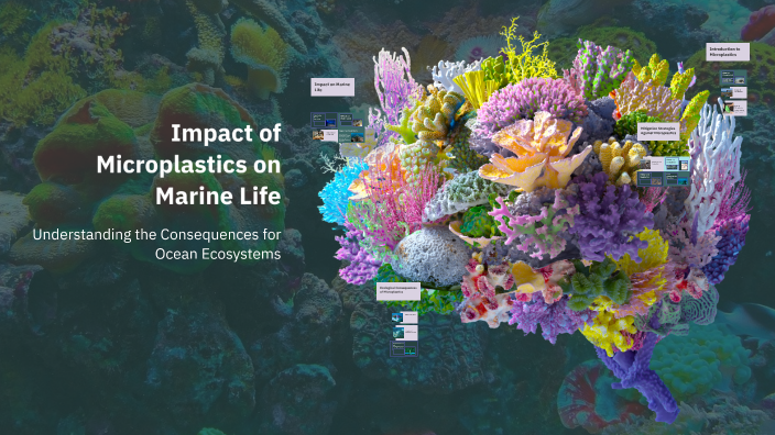 Impact of Microplastics on Marine Life by Aiswarya Sunilkumar on Prezi
