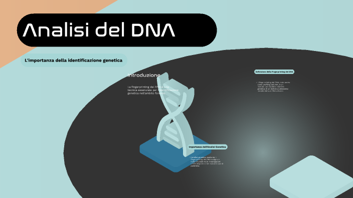 Analisi del DNA by sara gorga on Prezi