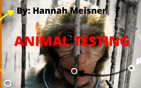 Animal Testing by Hannah Meisner on Prezi