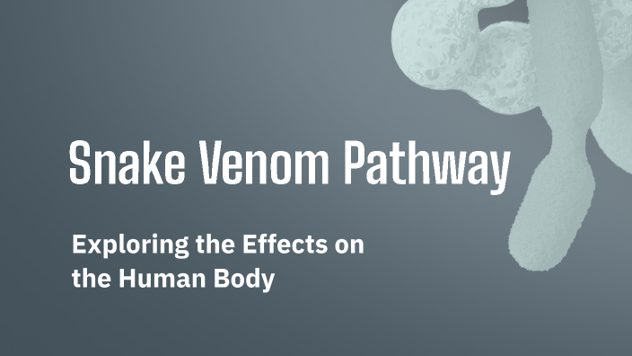 Snake Venom Pathway by Aurick Smart on Prezi