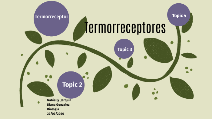 Termorreceptores by nahielly jarquin on Prezi