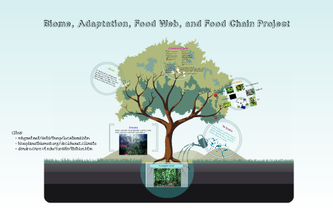 Biome, Adaptation, Food Web, and Food Chain Project by Tori Seals on Prezi