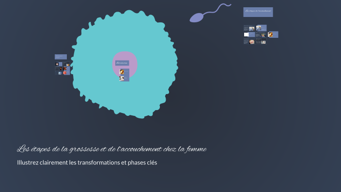 Les étapes de la grossesse et de l’accouchement chez la femme by Hakima ...
