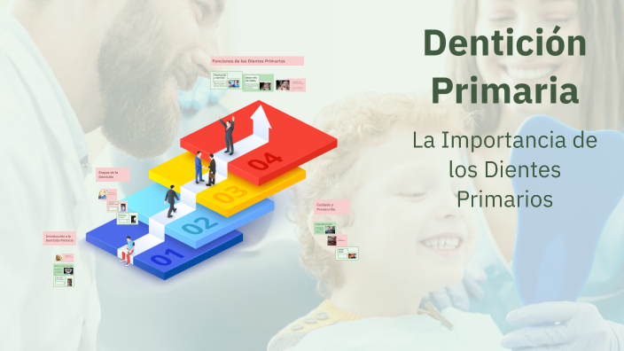 Dentición Primaria by Marjorie Alvarez on Prezi