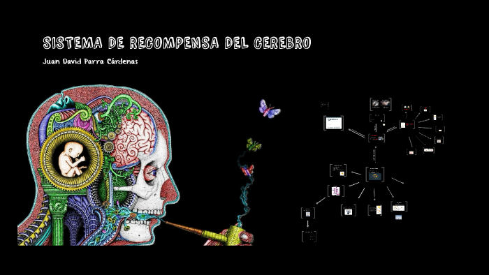 SISTEMA DE RECOMPENSA DEL CEREBRO by Juan David Parra on Prezi