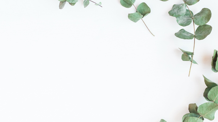 Animal by Samriddhi Gupta on Prezi