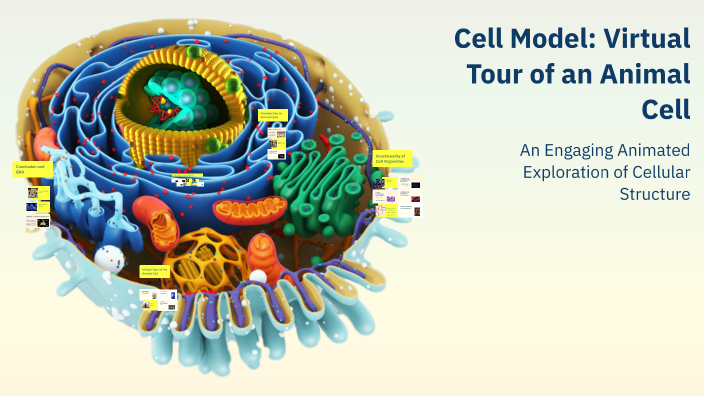 Cell Model: Virtual Tour of an Animal Cell by cayden kleinschmidt on Prezi