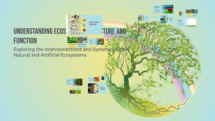 Understanding Ecosystems: Structure and Function by Lakshmi Vishnu on Prezi