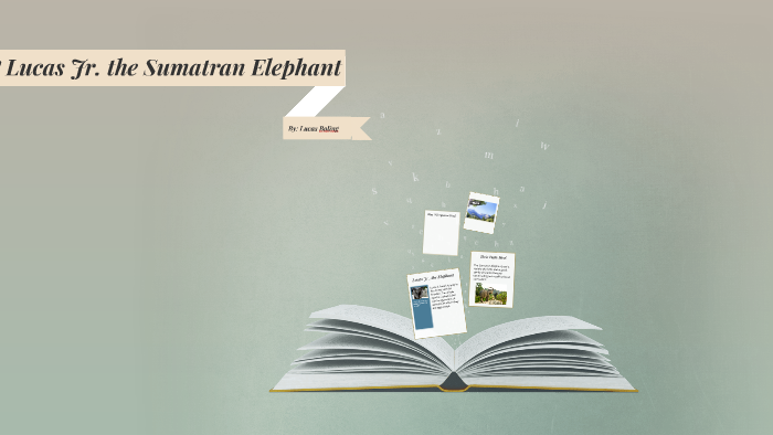 R.I.P Lucas the Sumatran Elephant by Lucas Boling on Prezi
